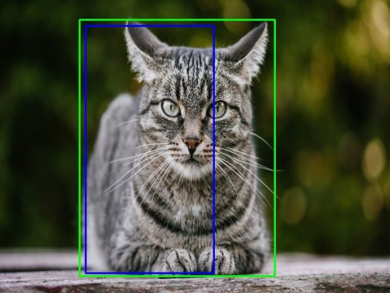 Which model is the best for person detection? - Folio3AI Blog