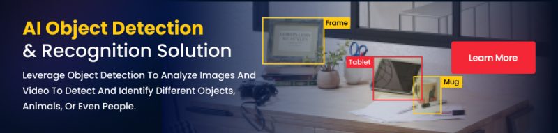 Comprehensive Guide to Object Detection
