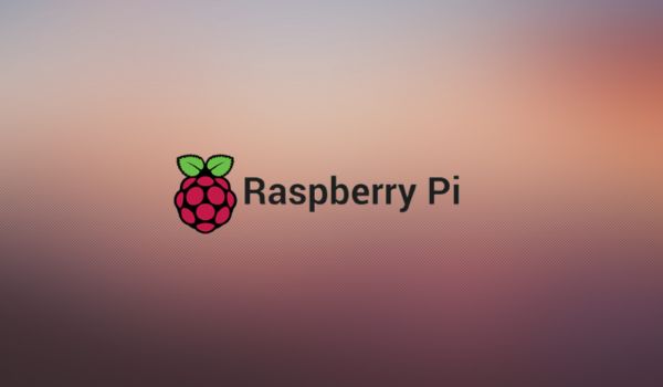 Automatic Number Plate Recognition with Raspberry Pi