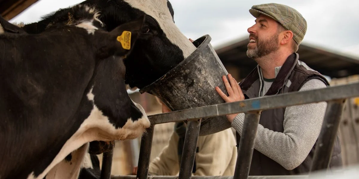 AI in Cattle Counting: Smarter Solutions for Large Ranches