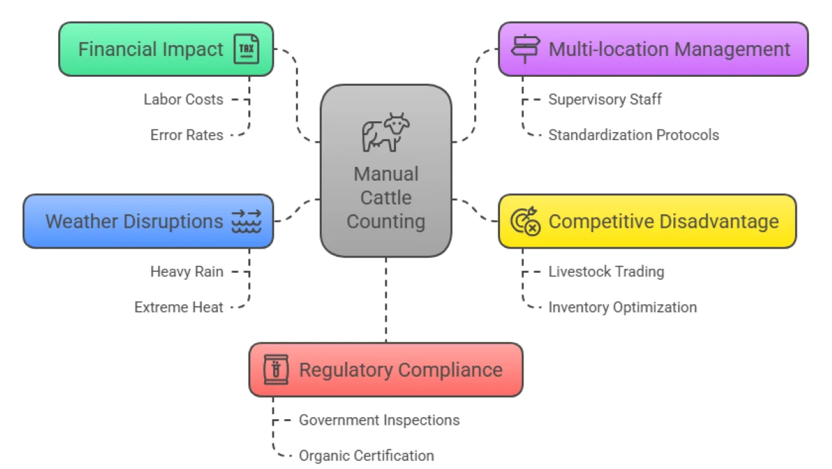 AI in Cattle Counting: Smarter Solutions for Large Ranches