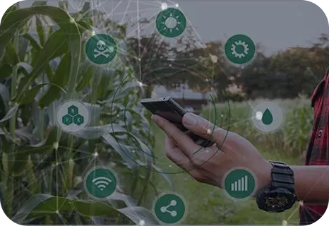 AI in Crop Management