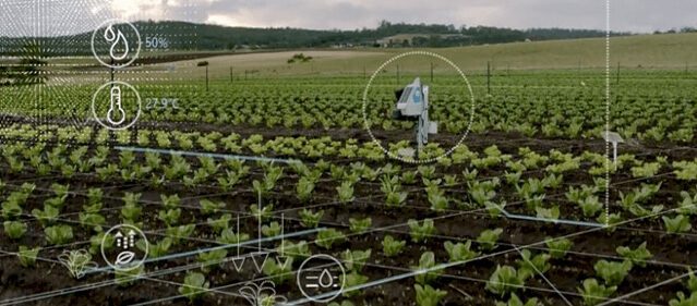 AI in Crop Management