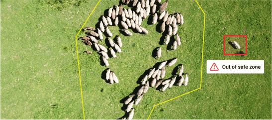 AI-Powered Animal Detection & Recognition | Folio3 AI