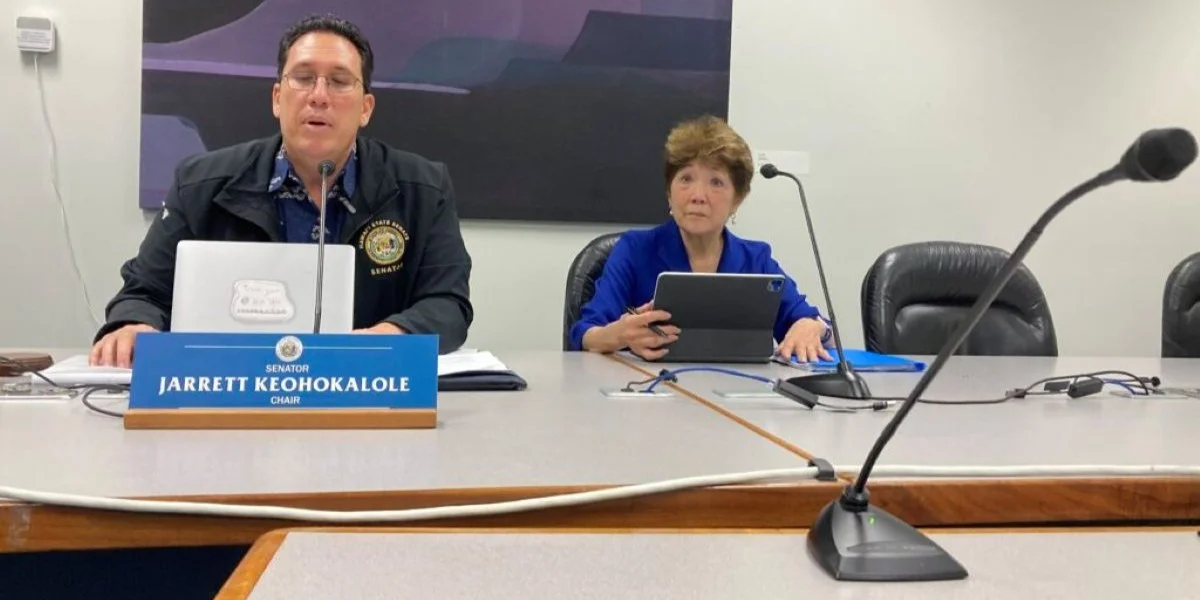 Hawaii Lawmakers Push AI Chatbot Protections After Disturbing Case ...